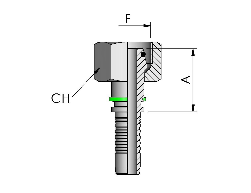 METRIC O-RING FEMALE, 24° CONE, HEAVY